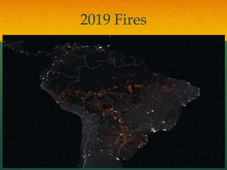 amazon_rainforest Fred.pptx