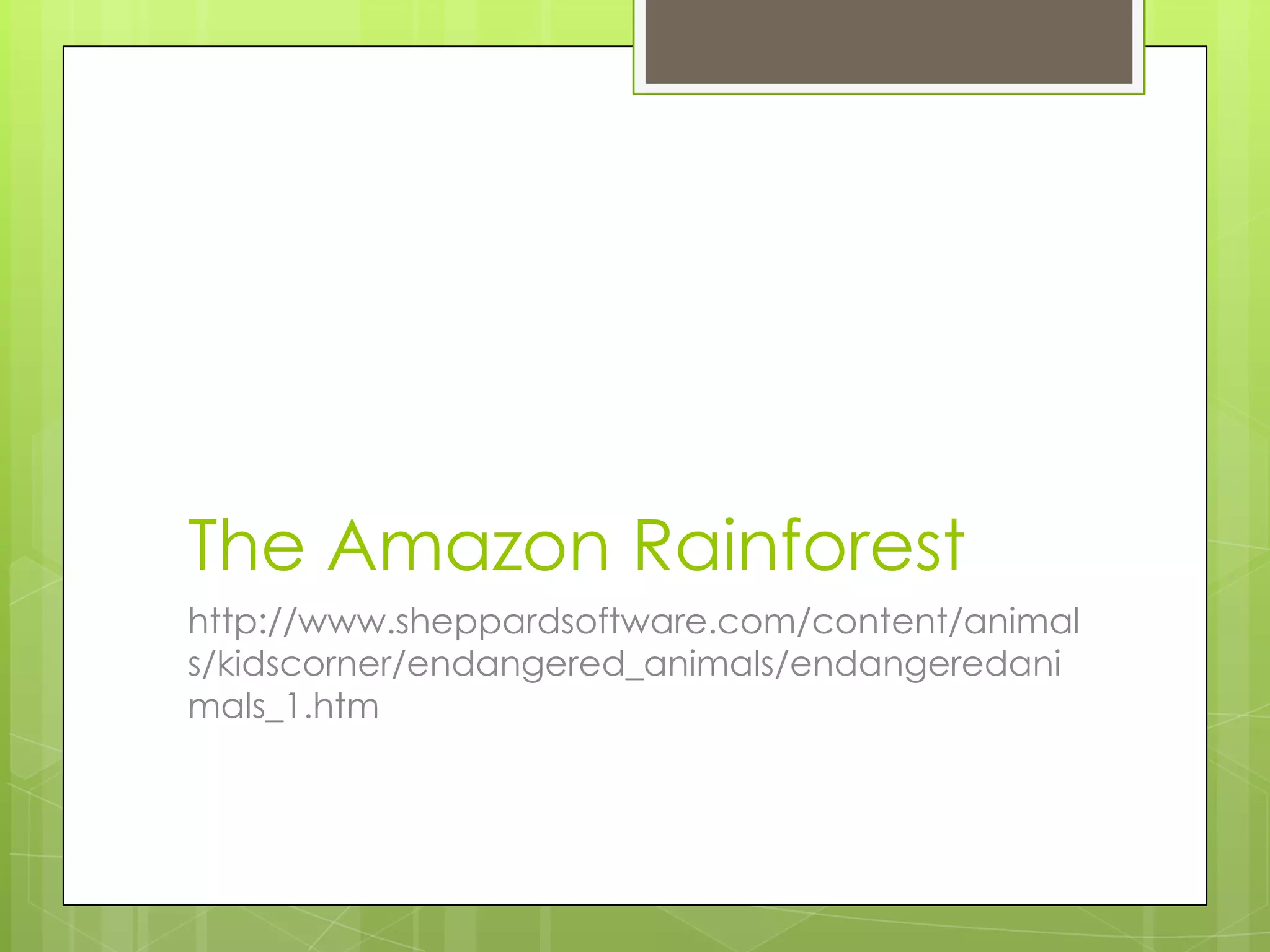 Amazon rainforest in danger - CEIBAL EN INGLES | PPTX