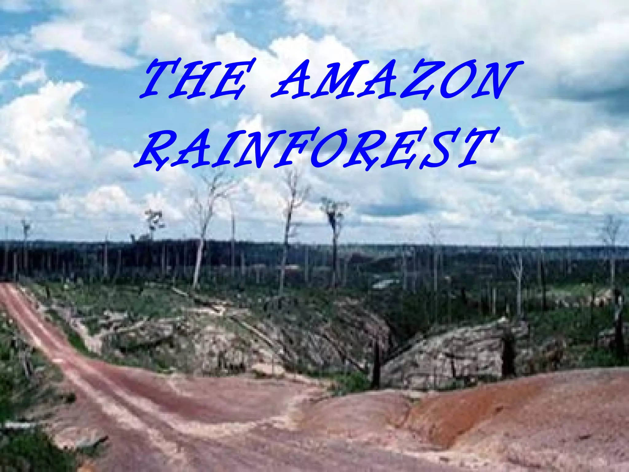 Amazon rainforest | PPT