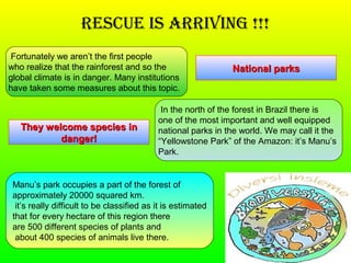 Amazon rainforest | PPT