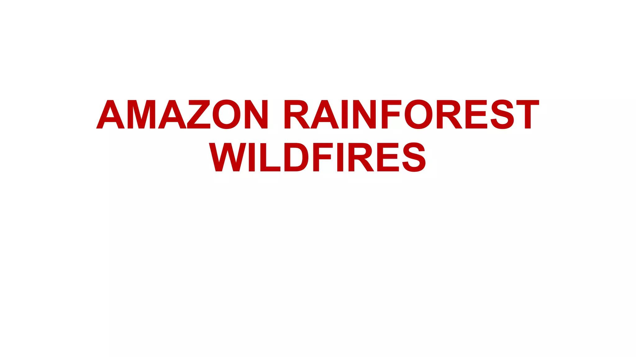 Amazon Rainforest wildfires Introduction | PPTX