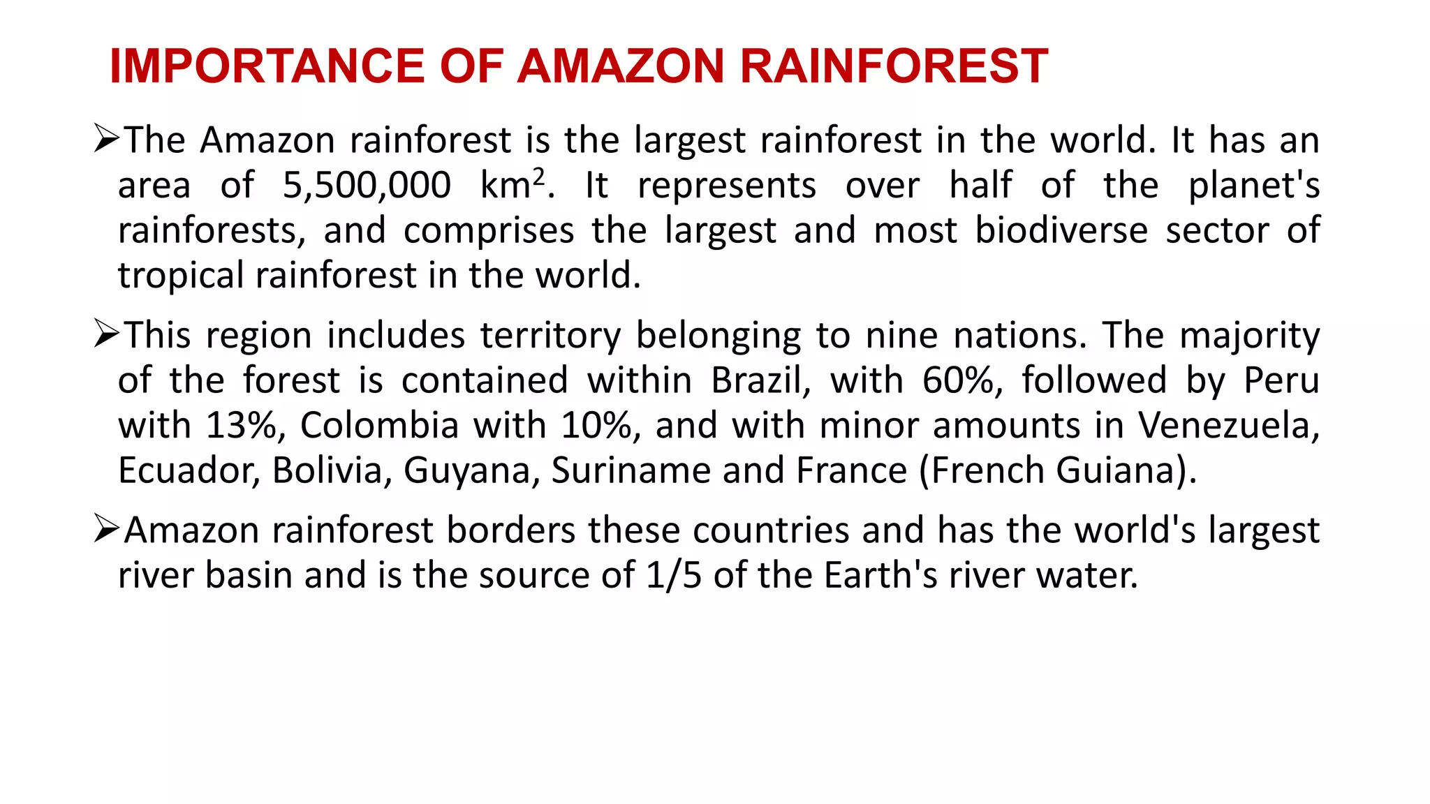 Amazon Rainforest wildfires Introduction | PPTX