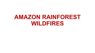 Amazon Rainforest wildfires Introduction | PPTX