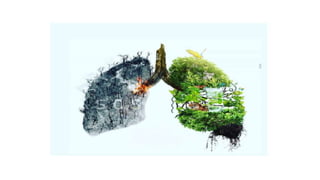 Amazon Rainforest wildfires Introduction | PPTX