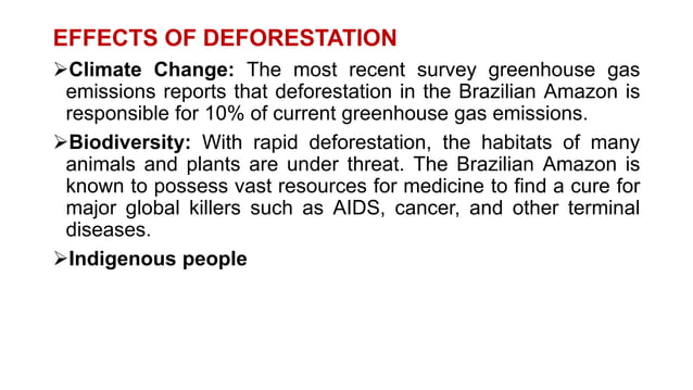 Amazon Rainforest wildfires Introduction | PPTX | Environment | Science