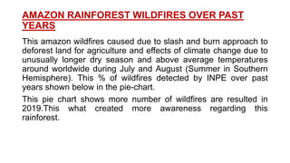 Amazon Rainforest wildfires Introduction | PPTX