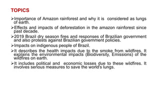 Amazon Rainforest wildfires Introduction | PPTX