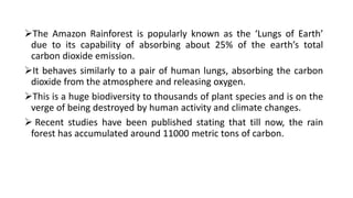 Amazon Rainforest wildfires Introduction | PPTX