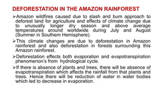 Amazon Rainforest wildfires Introduction | PPTX