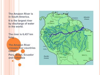 Amazon river daniela | PPTX