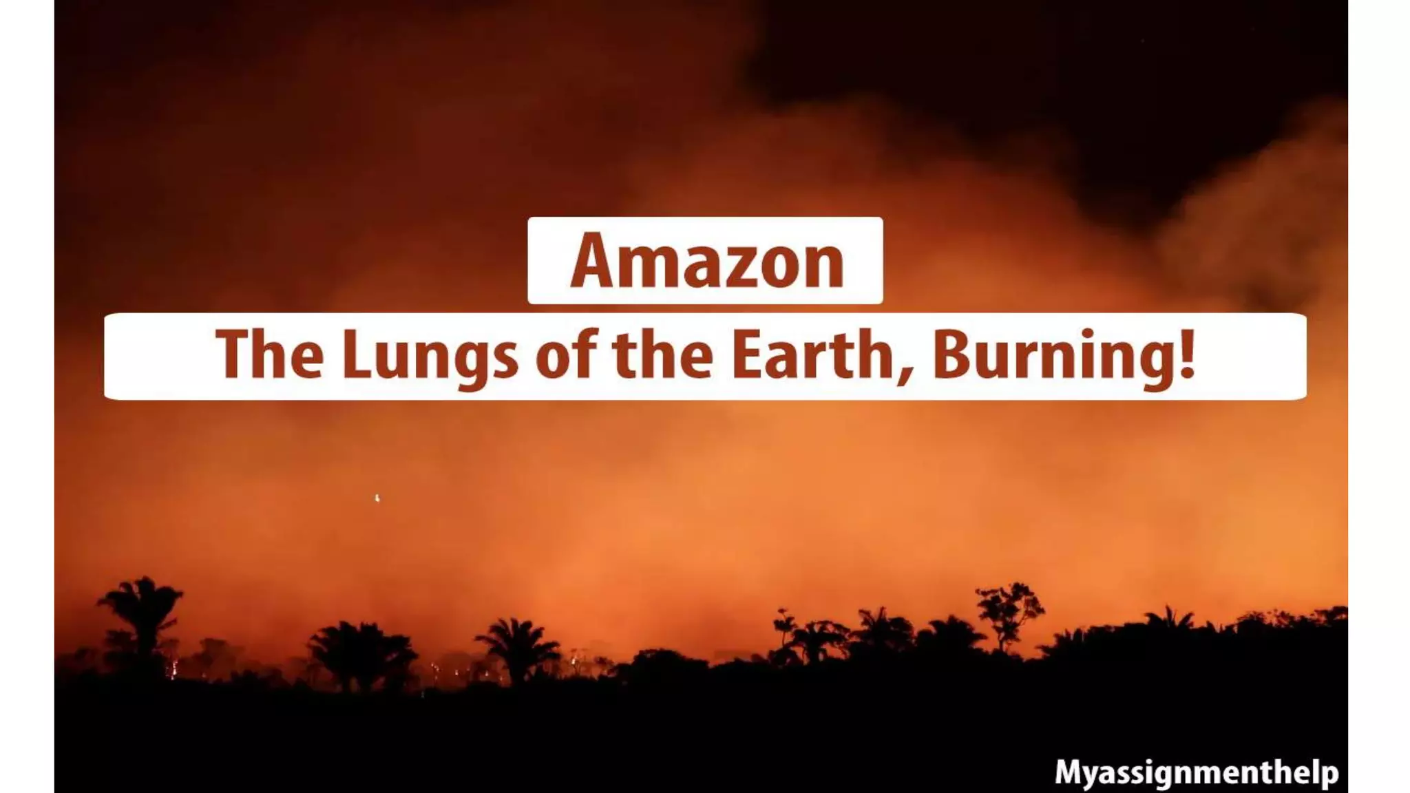 Amazon the lungs of the earth | PPTX