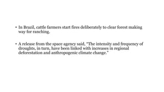 Amazon the lungs of the earth | PPTX