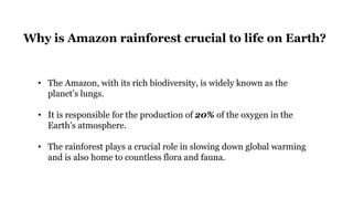 Amazon the lungs of the earth | PPTX