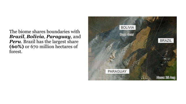Amazon the lungs of the earth | PPTX | Geography | Science
