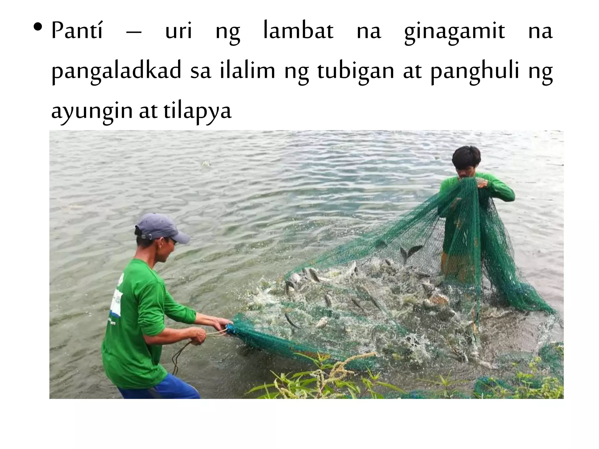 AMBAGAN-DALUMAT.pptx