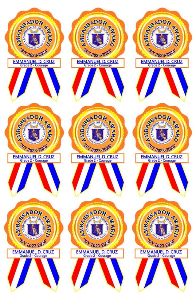 AMBASSADOR AWARD.pptx