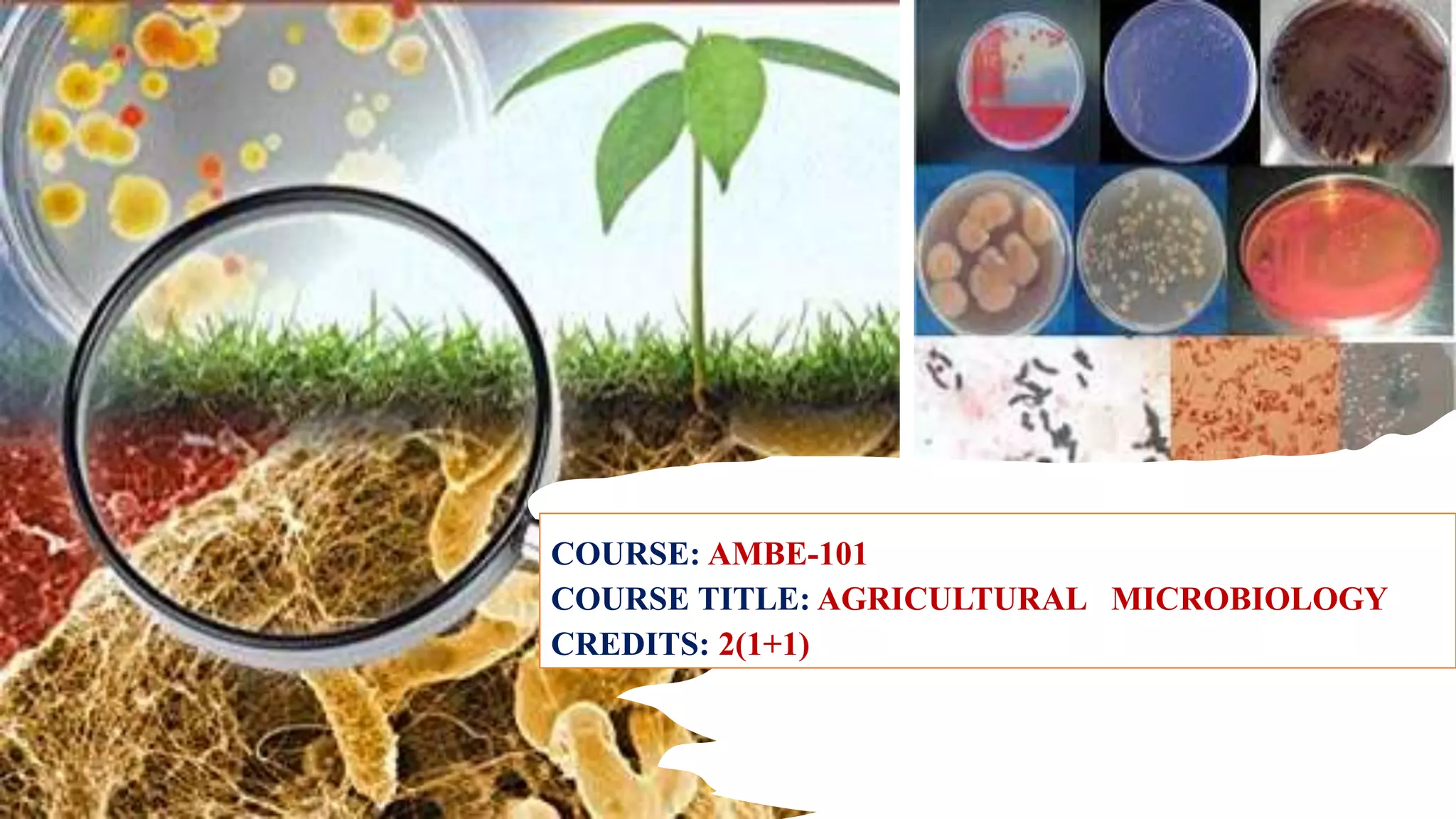 Ambe 101@ lec 1 | PPTX | Biological Sciences | Science