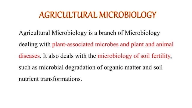 Ambe 101@ lec 1 | PPT