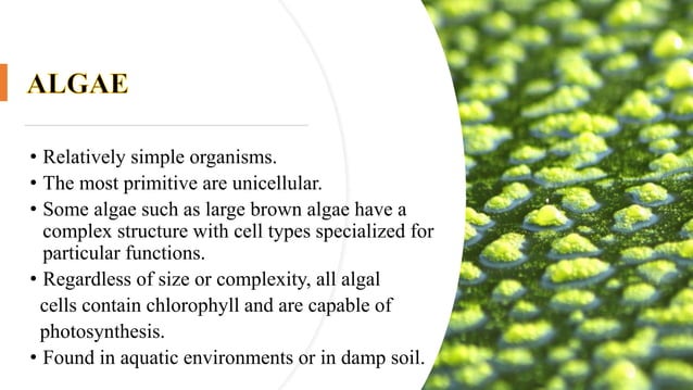 Ambe 101@ lec 1 | PPT