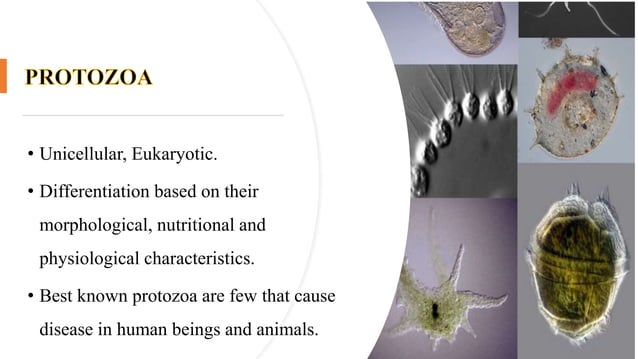 Ambe 101@ lec 1 | PPT