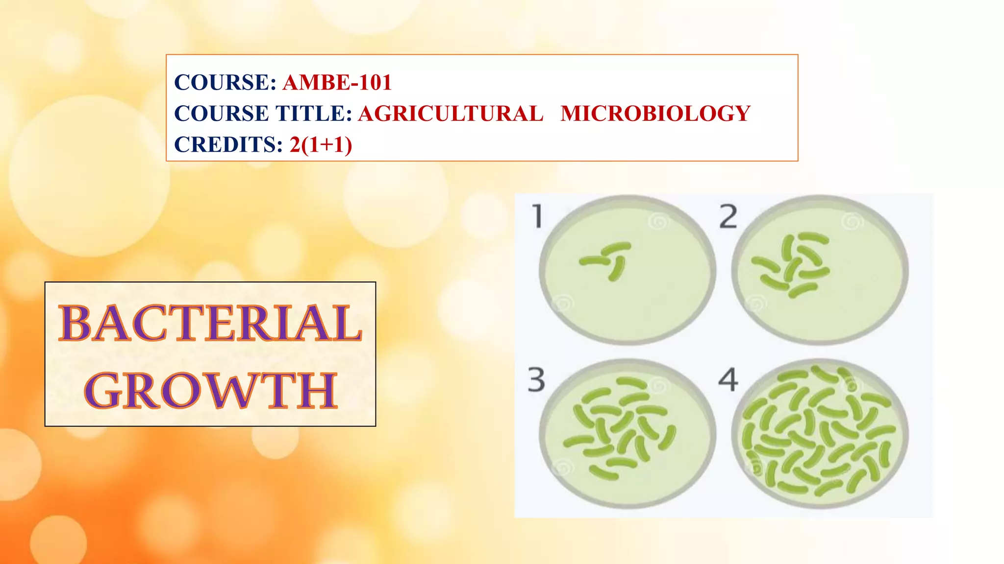 Ambe 101 @ lec 4 | PPTX