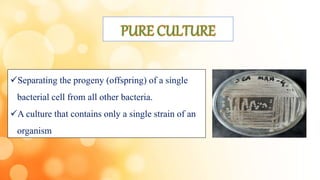 Ambe 101 @ lec 4 | PPT