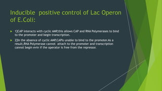 LAC OPERON IN E.COLI