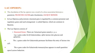 LAC OPERON IN E.COLI