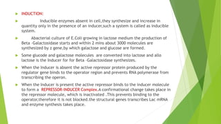LAC OPERON IN E.COLI