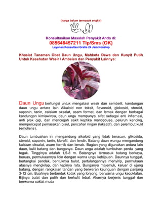 Ambeien berdarah lagi, obatnya apa | PDF