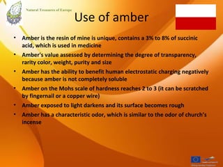Amber | PPT