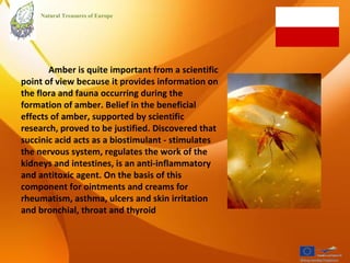 Amber | PPT