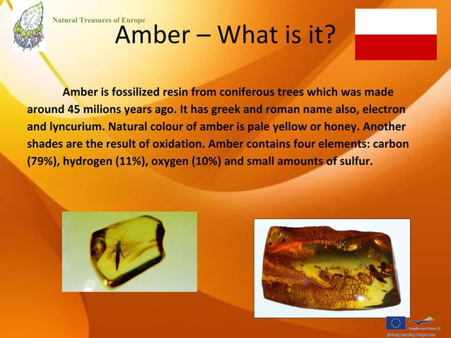 Amber | PPT