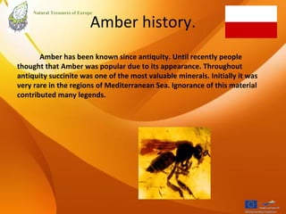 Amber | PPT