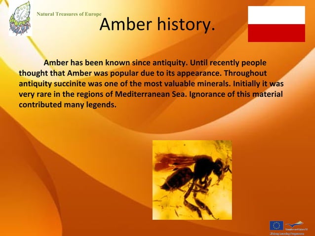 Amber | PPT