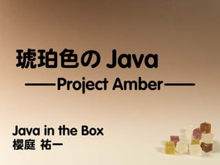 琥珀色のJava - Project Amber - | PDF | Programming Languages | Computing