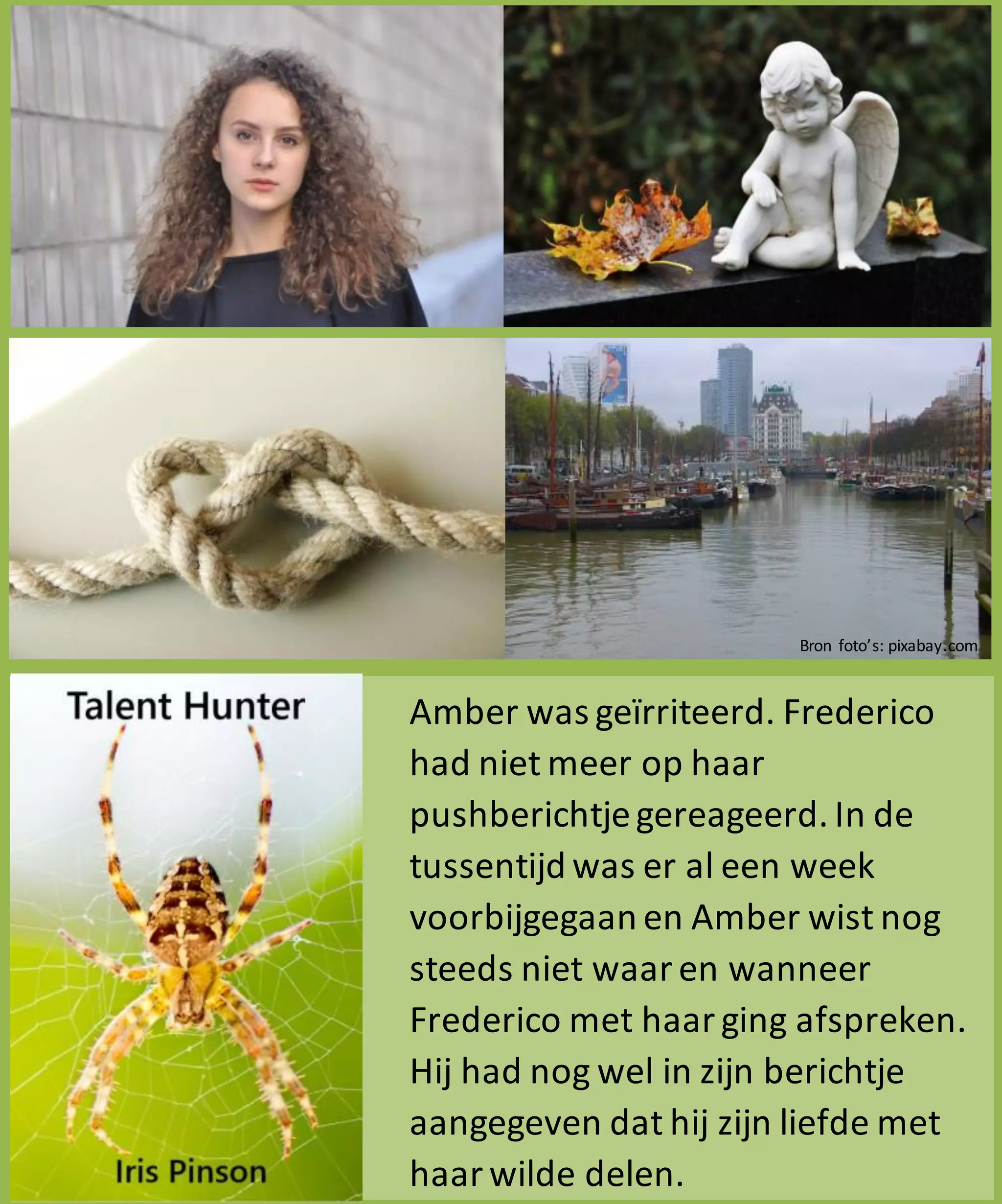 Amber was geïrriteerd - Talent Hunter - Iris Pinson | PDF