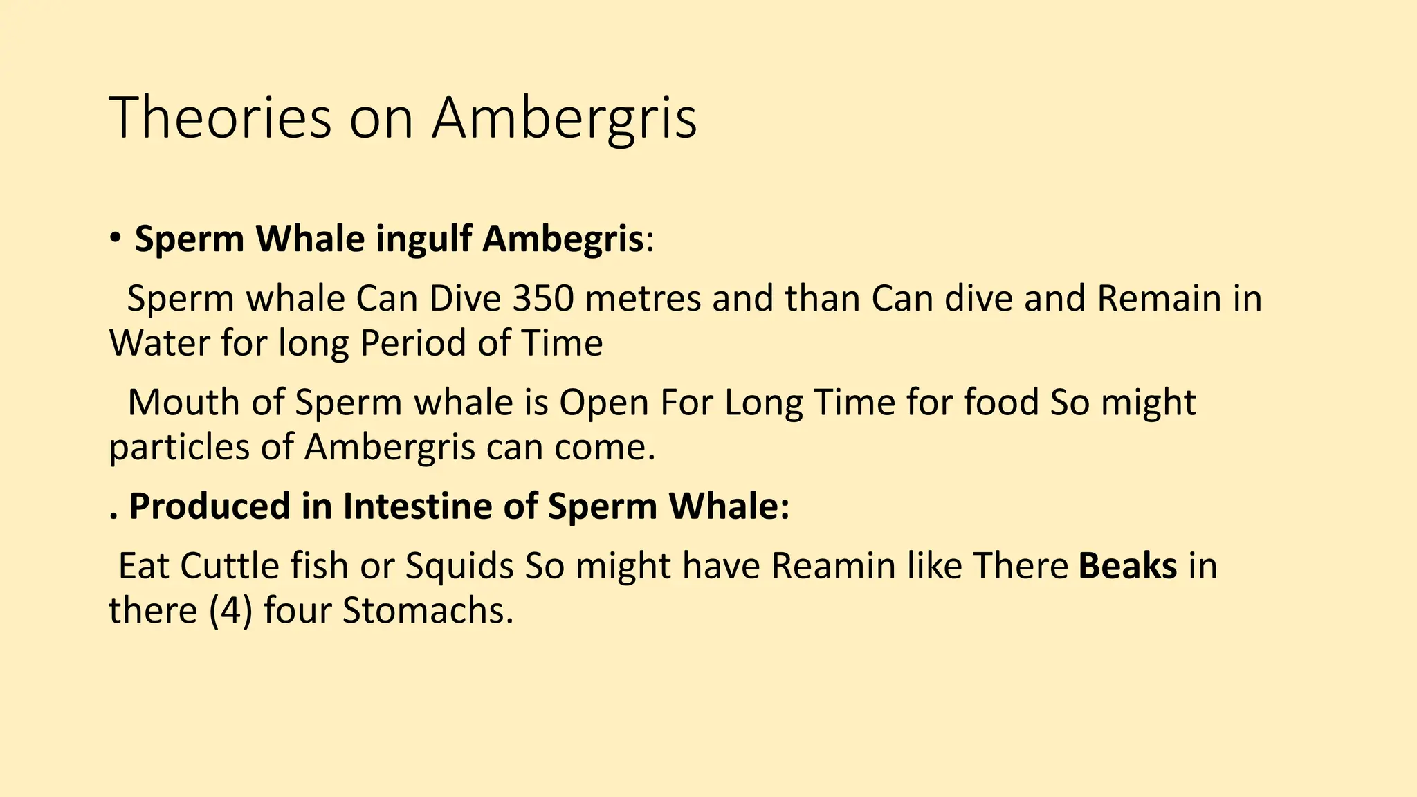 Ambergris pharmacognosy. By yaseen abbas | PPTX