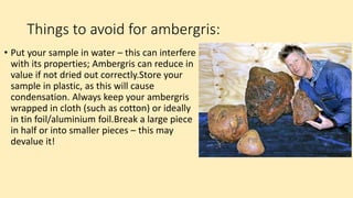 Ambergris pharmacognosy. By yaseen abbas | PPTX