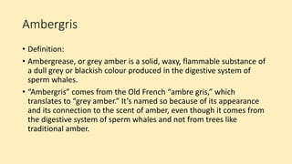 Ambergris pharmacognosy. By yaseen abbas | PPTX