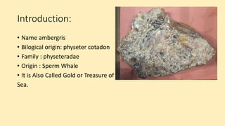 Ambergris pharmacognosy. By yaseen abbas | PPTX