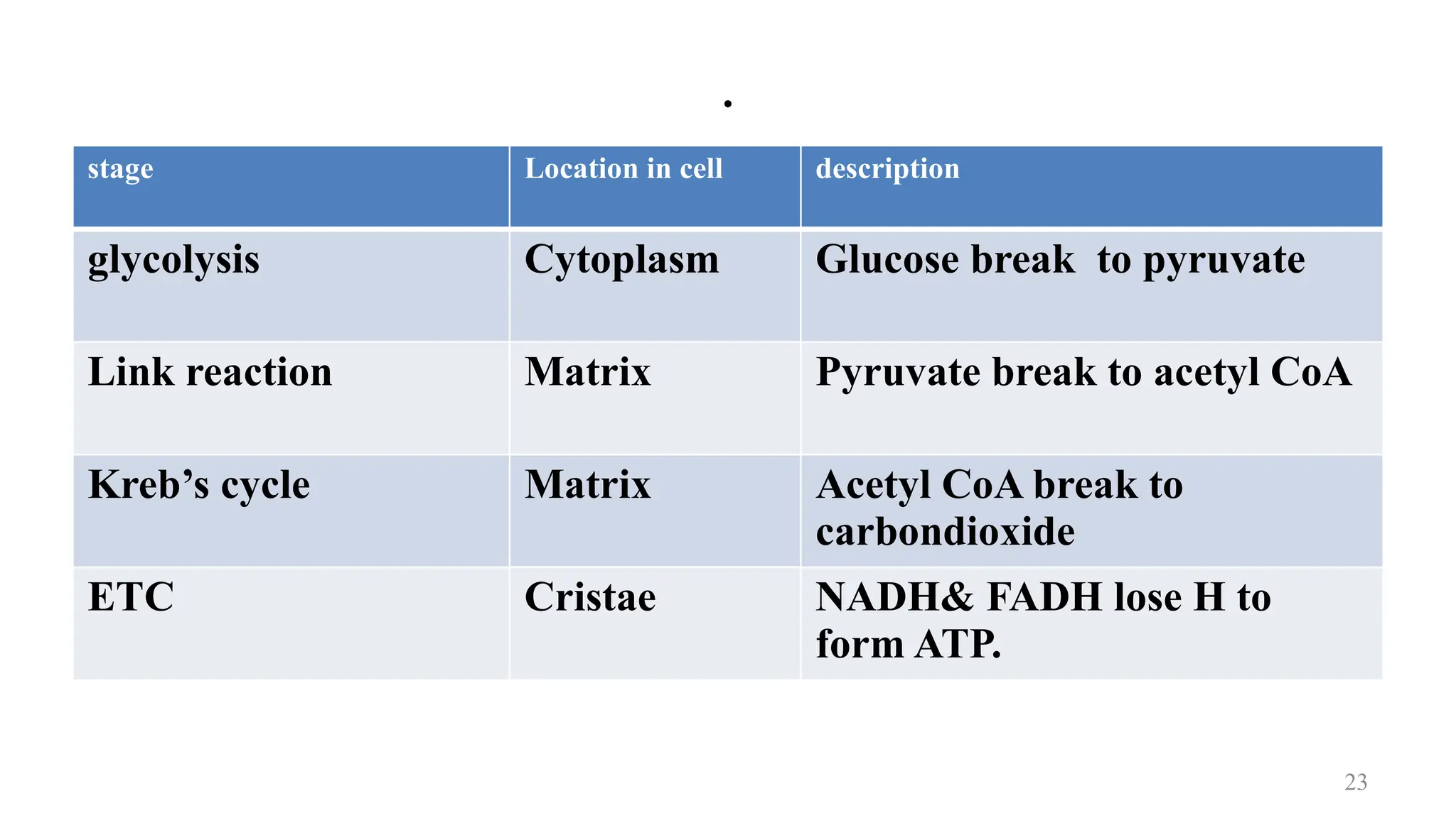 BIOLOGY_5_unit.pdf This chapter about energy transmission | PPT