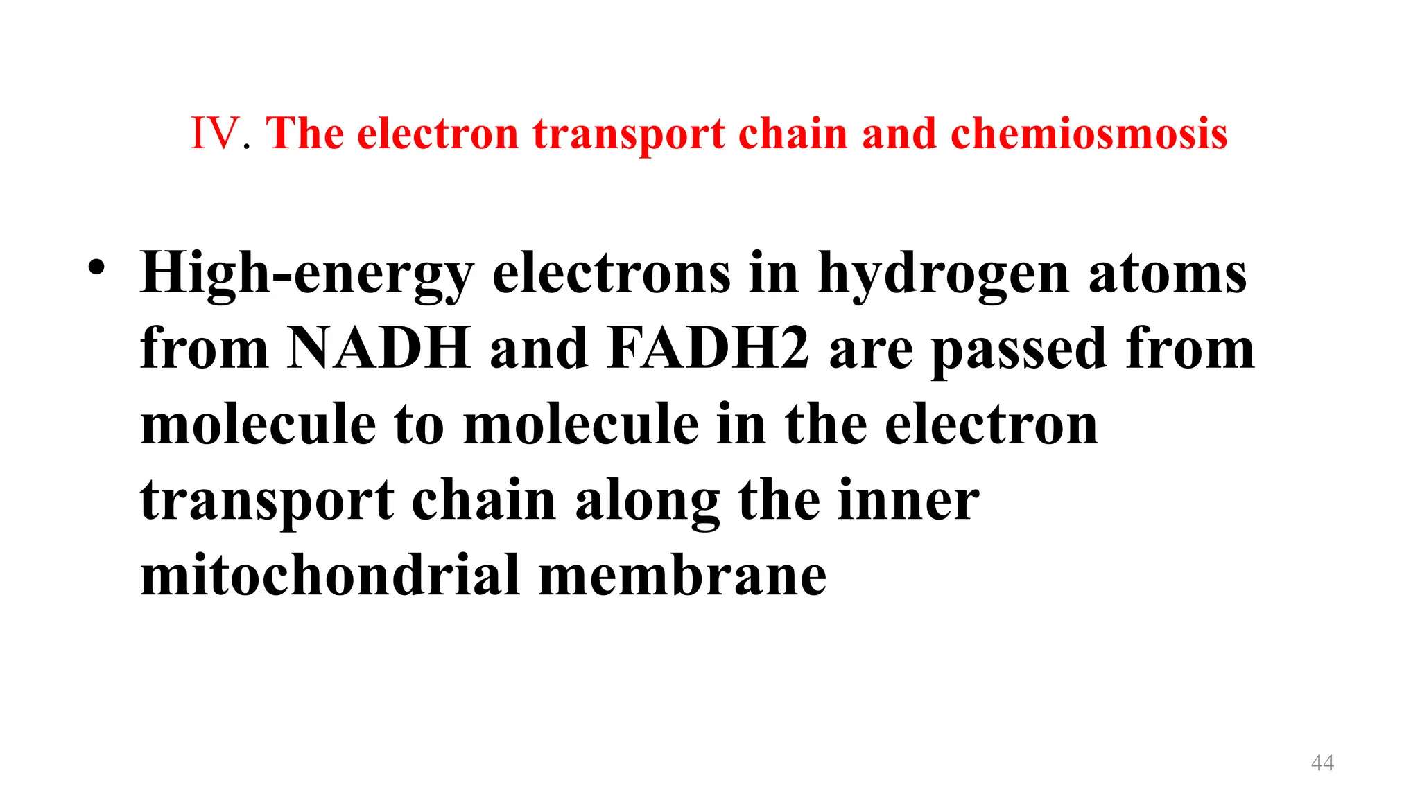 BIOLOGY_5_unit.pdf This chapter about energy transmission | PDF ...