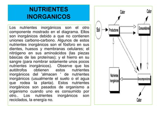 Ambiente fisico de los sistemas ecologicos | PPTX