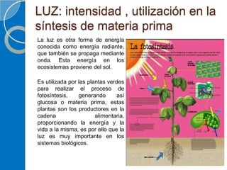Ambiente físico de los sistemas ecológicos | PPTX