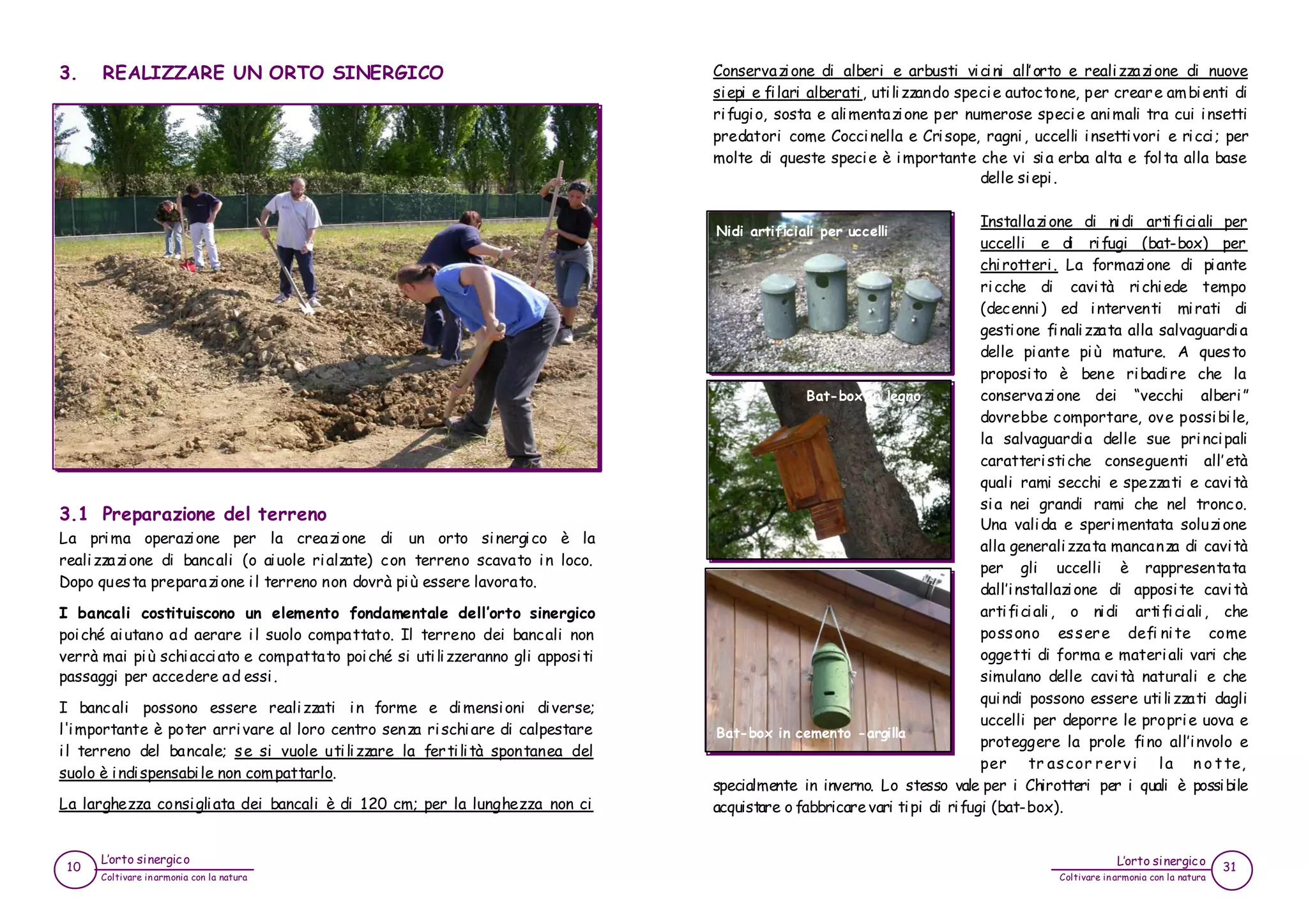 Ambiente manuale orto_sinergico_rilegato | PDF