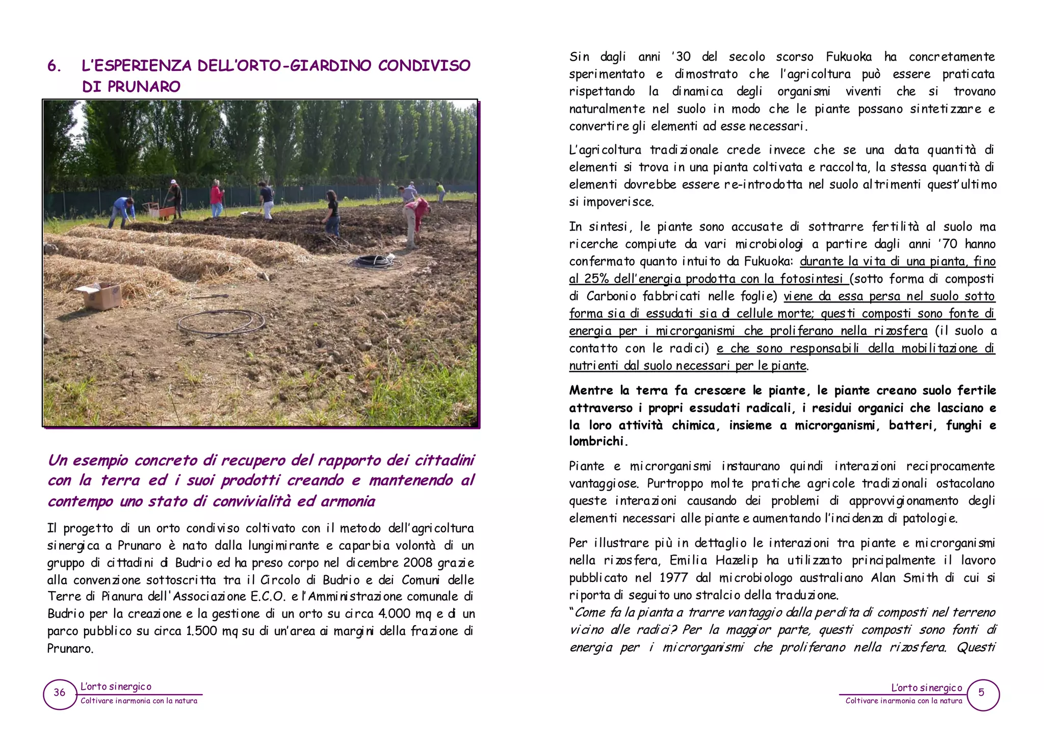 Ambiente manuale orto_sinergico_rilegato | PDF