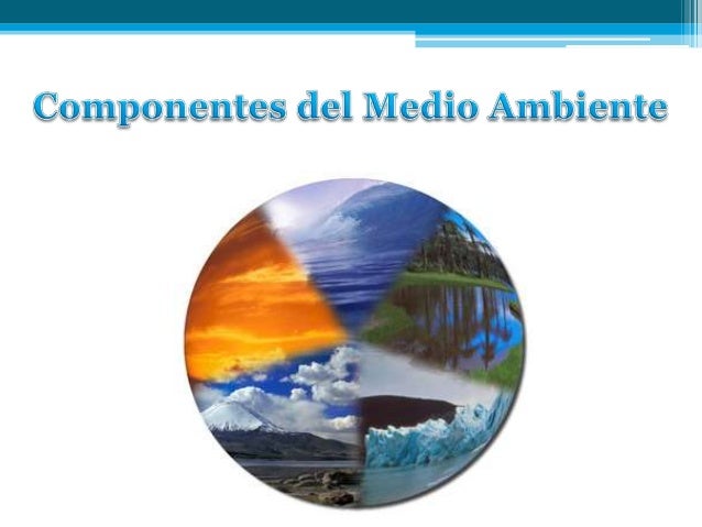 Ambiente, medio ambiente y sus componentes