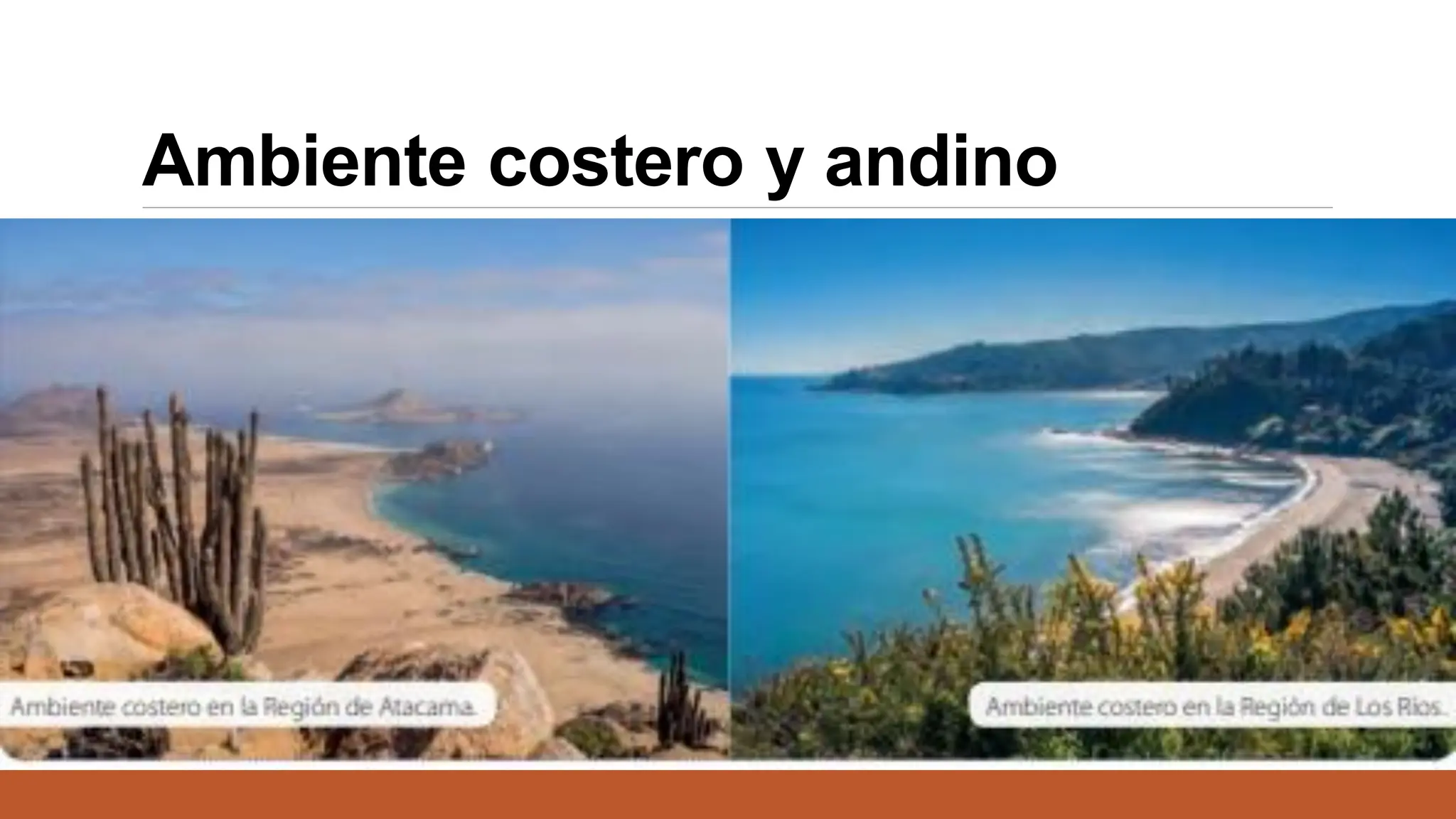 Ambientes naturales de Chile sexto basico | PDF
