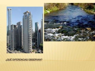 Ambientes naturales y ambientes artificiales | PPTX